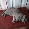 Иконка канала Даша Игромания 228