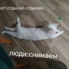 Иконка канала Борис Плей