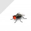 Иконка канала pic pictures