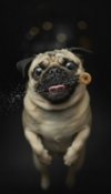 Иконка канала Paramon_Pictures