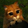 Иконка канала channel79579990 Богдан