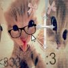 Иконка канала meowwq42