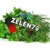 Иконка канала Zelen78 Стримы