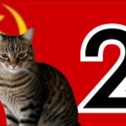 Иконка канала Коты-24