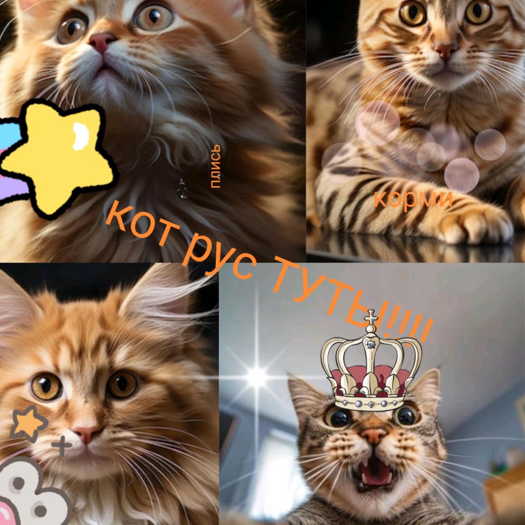 Иконка канала Это Кот Рус 😸😺