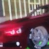 Иконка канала CatMyau
