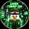 Иконка канала Санек Геймер 228