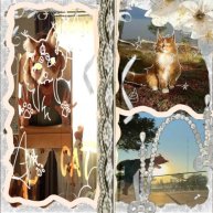 Иконка канала °•🐾🐚ОВИРКА! 🌿🐱•°