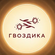 Иконка канала gvozdikaspb.ru