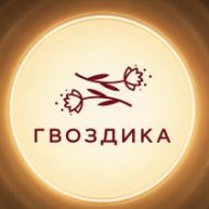 Иконка канала gvozdikaspb.ru