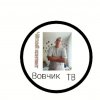 Иконка канала Вовчик ТВ