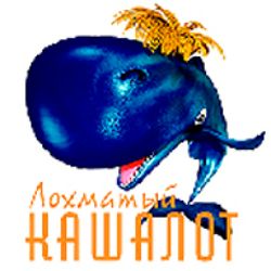 Иконка канала channel79691487