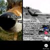 Иконка канала Супер Мишка