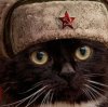 Иконка канала Советский кот (ВЕРНУЛСЯ)