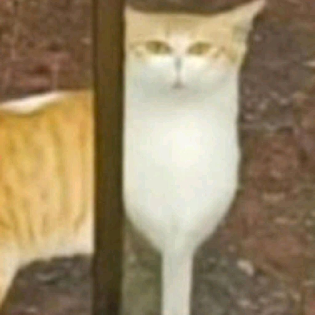 Иконка канала Eva Cat 😸и Басик