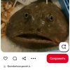 Иконка канала Abuzizi