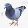 Иконка канала Яpиk16
