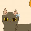 Иконка канала 🧡ⲫᥲⲏ ⲕⲉⲙυ🐈‍⬛