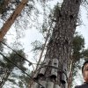 Иконка канала Игры Маргариты