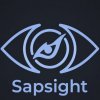 Иконка канала Sapsight ("Сапсан - Взгляд") - инклюзивное ПО