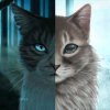 Иконка канала 💫🐈Коты Воители🐈💫