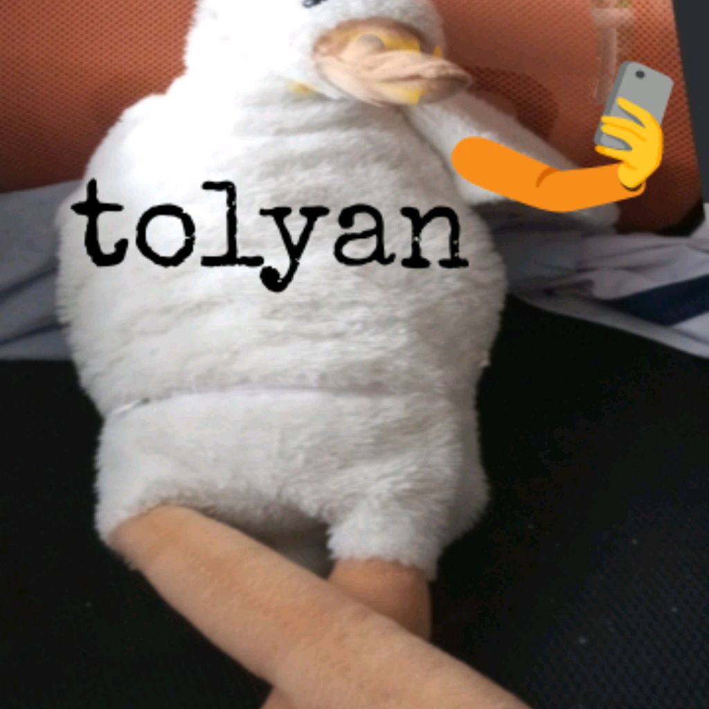 Иконка канала TOLYAN