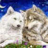 Иконка канала Дуэт две ноты для души