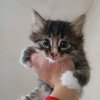Иконка канала The_skyMOON