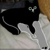 Иконка канала Кошка Тея