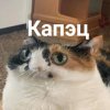 Иконка канала Mr. Chupa