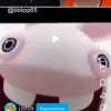 Иконка канала КРОЛИК500