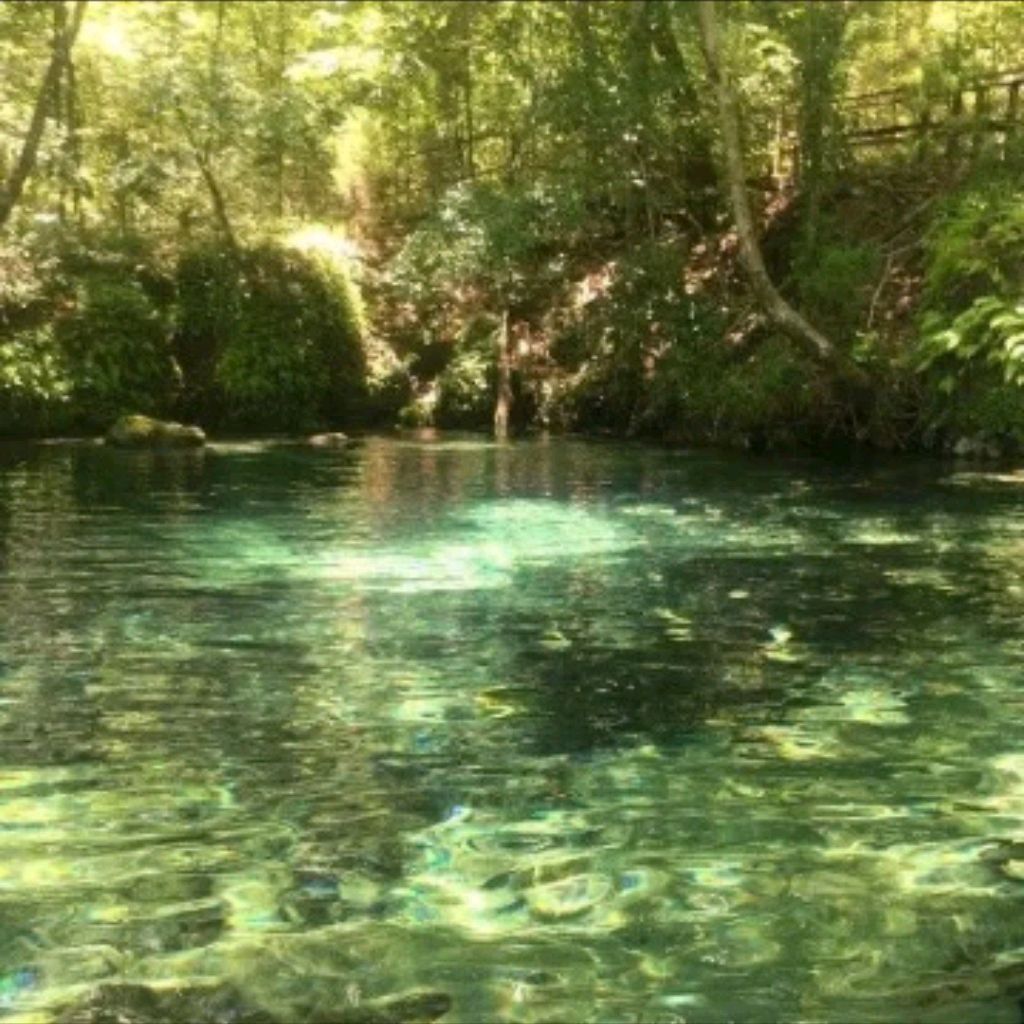 Иконка канала 🥭𖦹Meλιssαᥫ᭡🥭 (Типо Ушла В Вк)