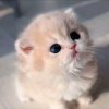 Иконка канала Sashacraft 😆😍