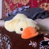 Иконка канала Уточка💛🐤🐥