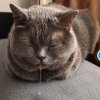 Иконка канала ЗАБАВНИЧ