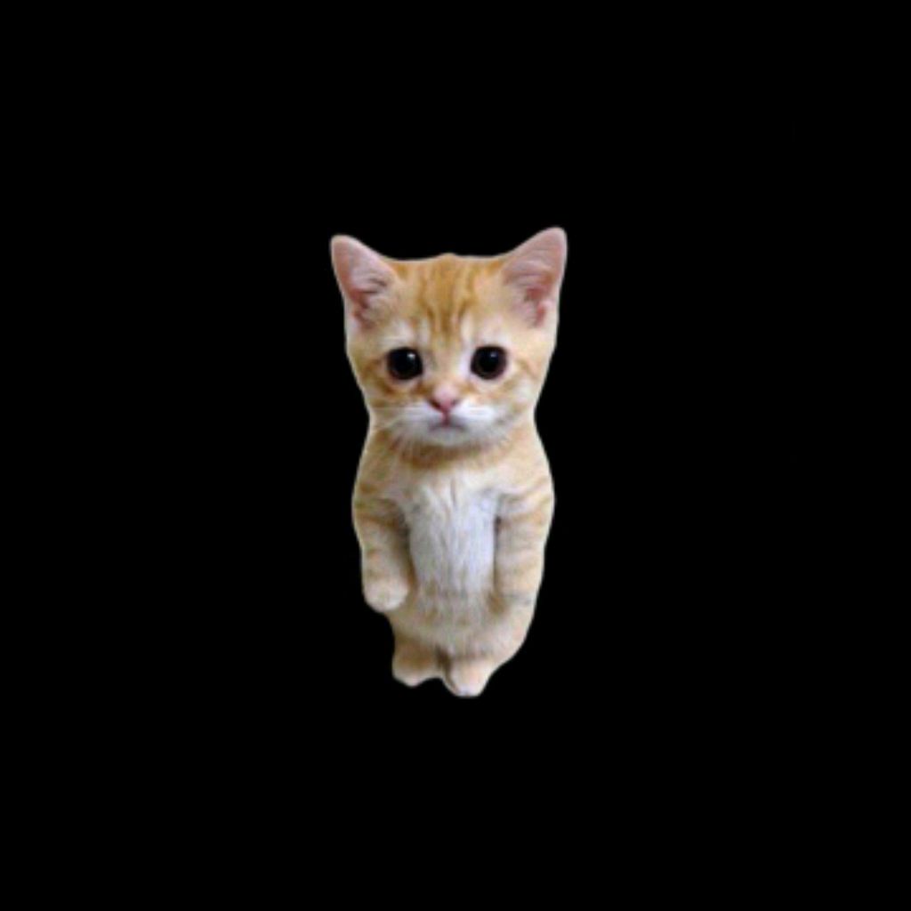 Иконка канала Cat Guvich