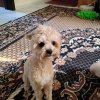 Иконка канала Kira BLOG