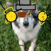 Иконка канала 🐺 Вульф 28 K 🦊