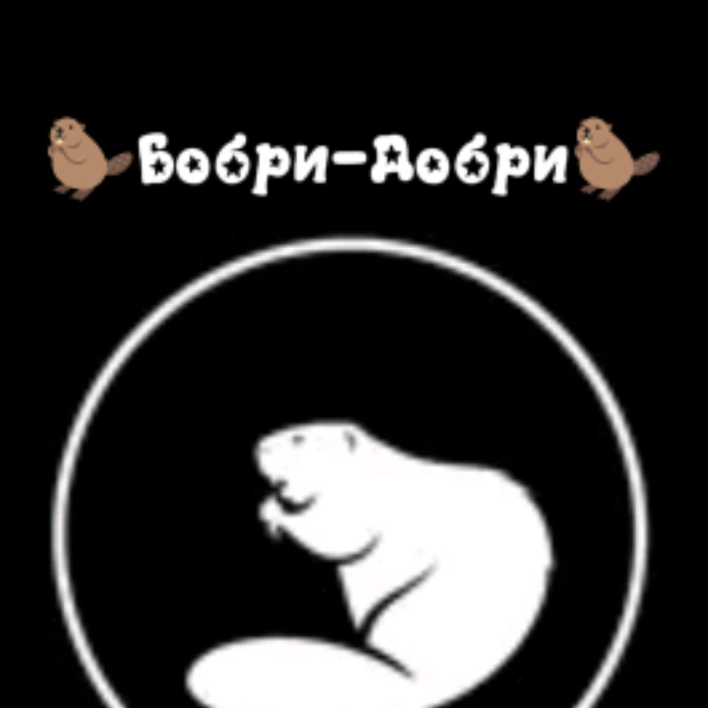 Иконка канала 🦫Добри-Бобри🦫
