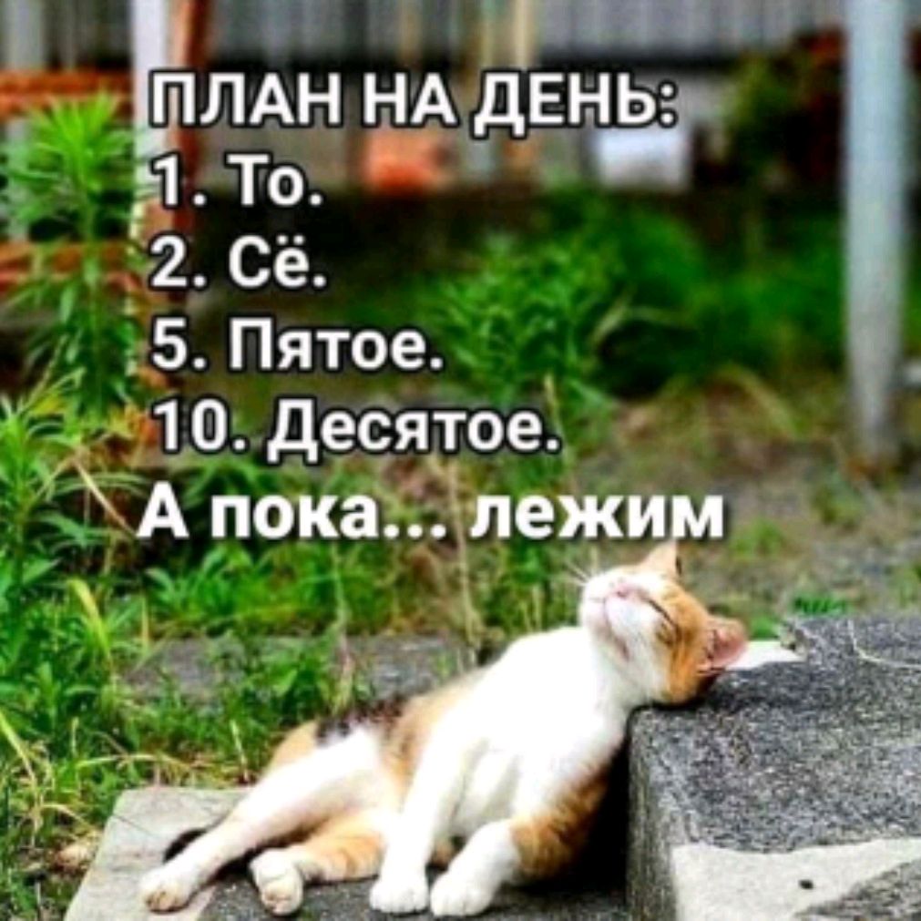 Иконка канала То, сё пятое-десятое