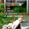 Иконка канала То, сё пятое-десятое