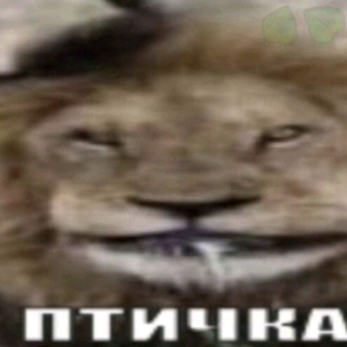 Иконка канала Nekstter