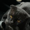 Иконка канала Проводник смирнозвёзда 2 канал