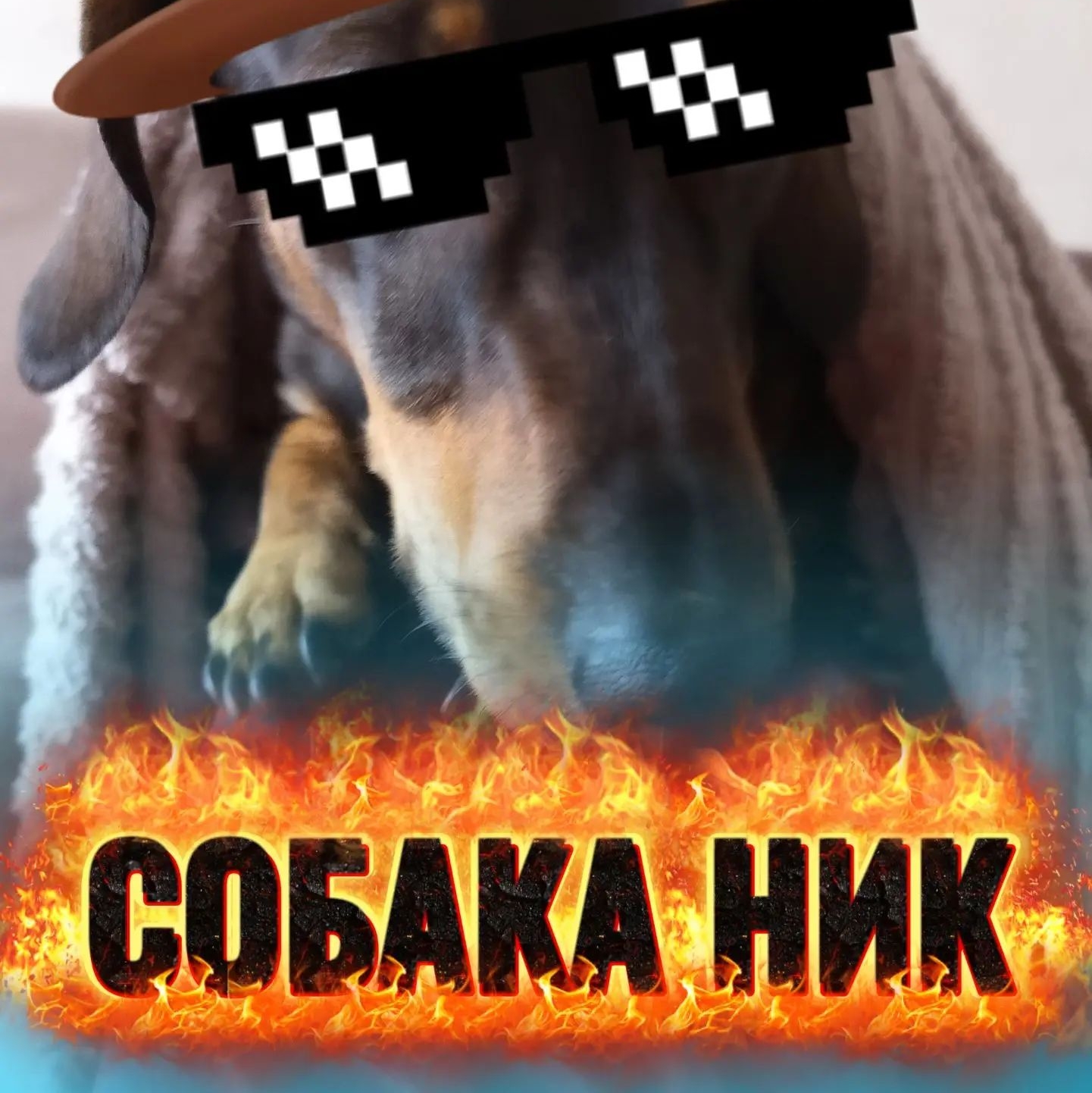 Иконка канала Собака Ник