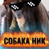 Иконка канала Собака Ник