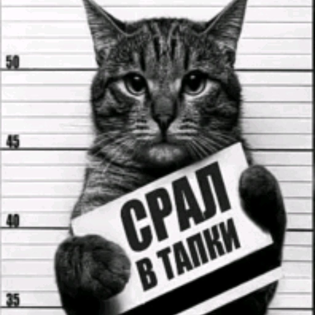 Иконка канала ...