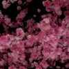Иконка канала Анфискааааааа