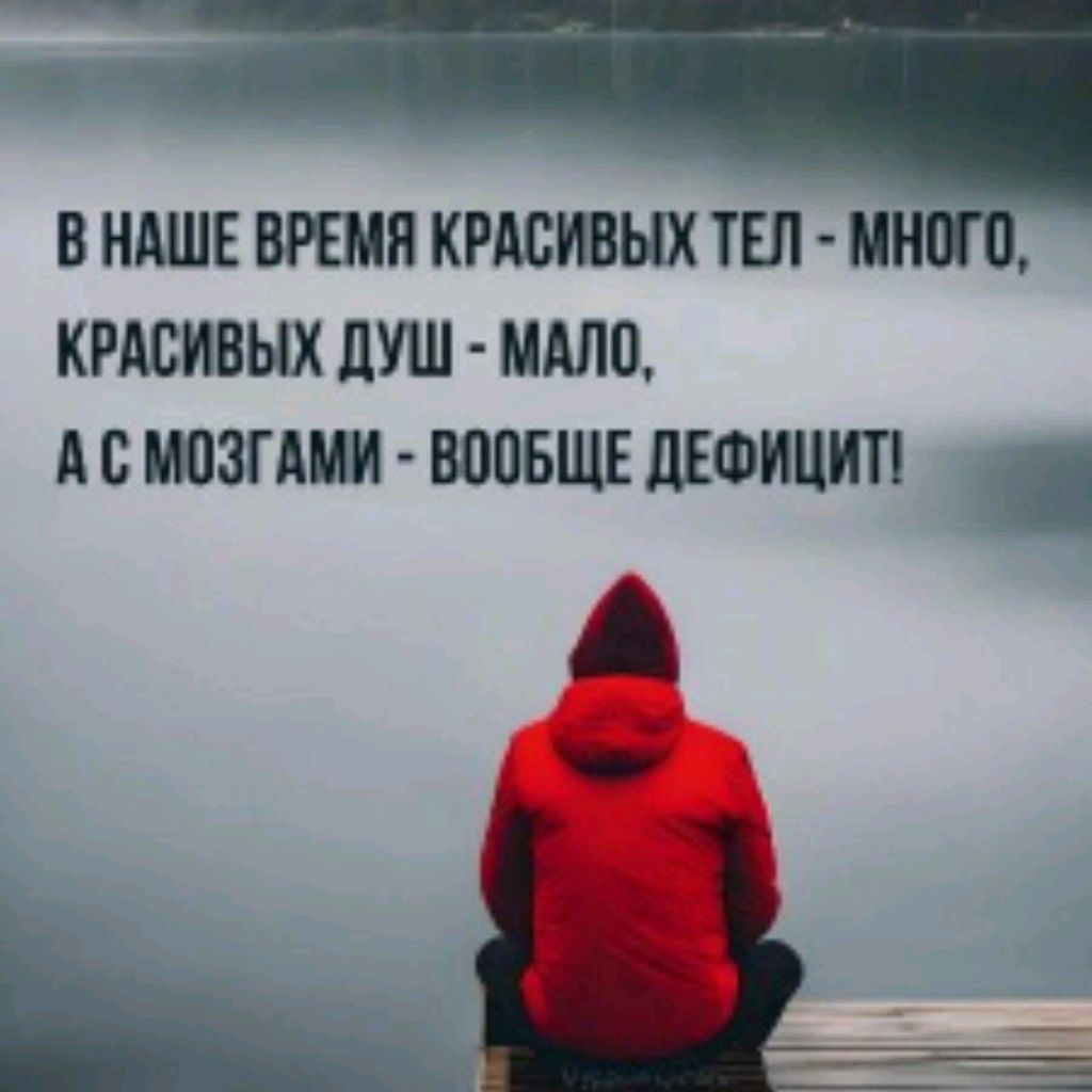 Иконка канала the viewer