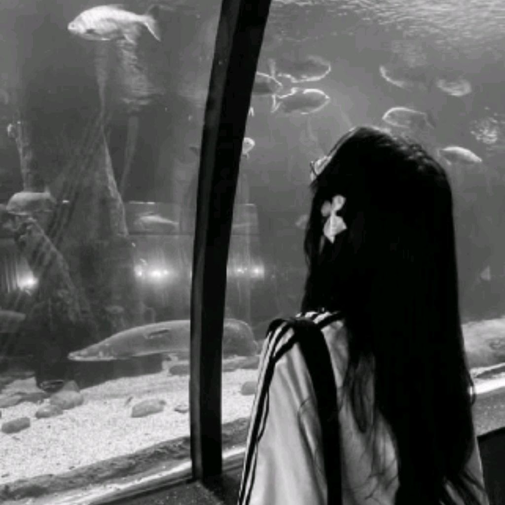 Иконка канала 🐬•°^^~MiSs Nyunyafa~^^•°🐬