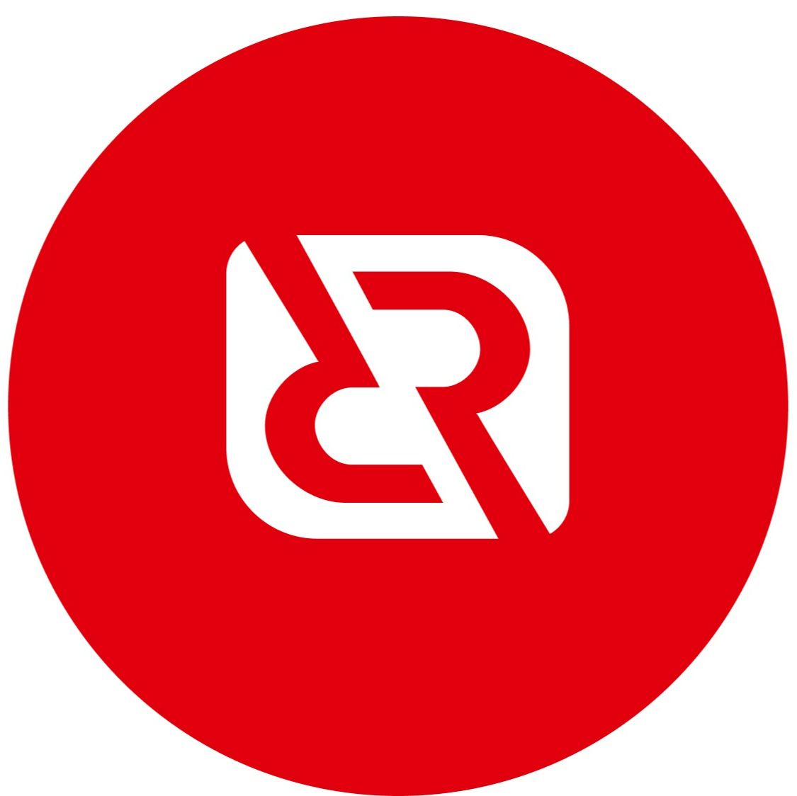 Иконка канала Ридан Россия